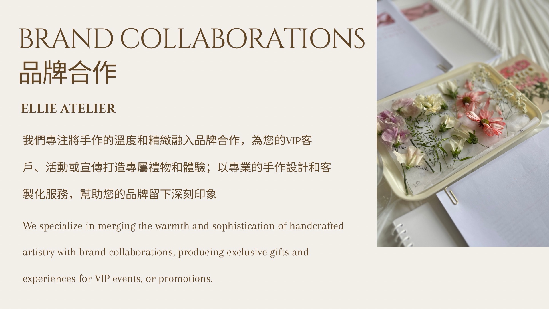 Brand Collaboration